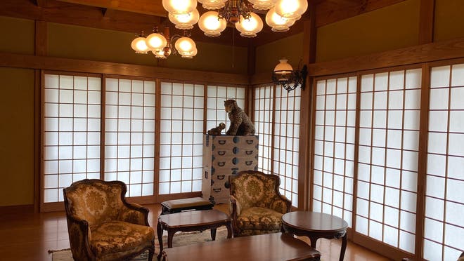 純和風家屋、和洋館風インテリア!部屋前は和園、写真撮影や作品展覧会に最適!の写真5