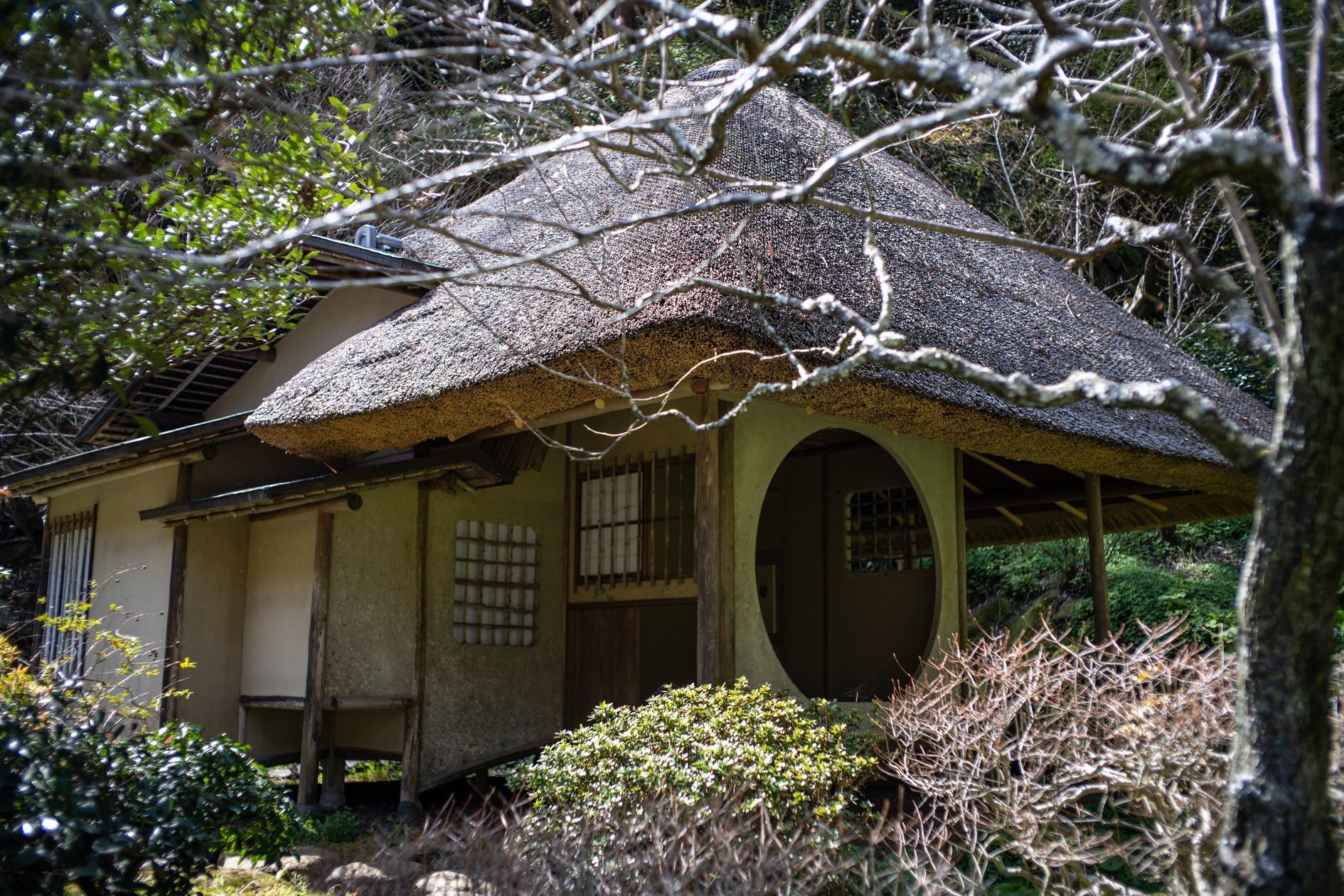 【鎌倉】本格茶室スペース//各種撮影・インバウンド・和の体験会・各種展示会にも。の写真7