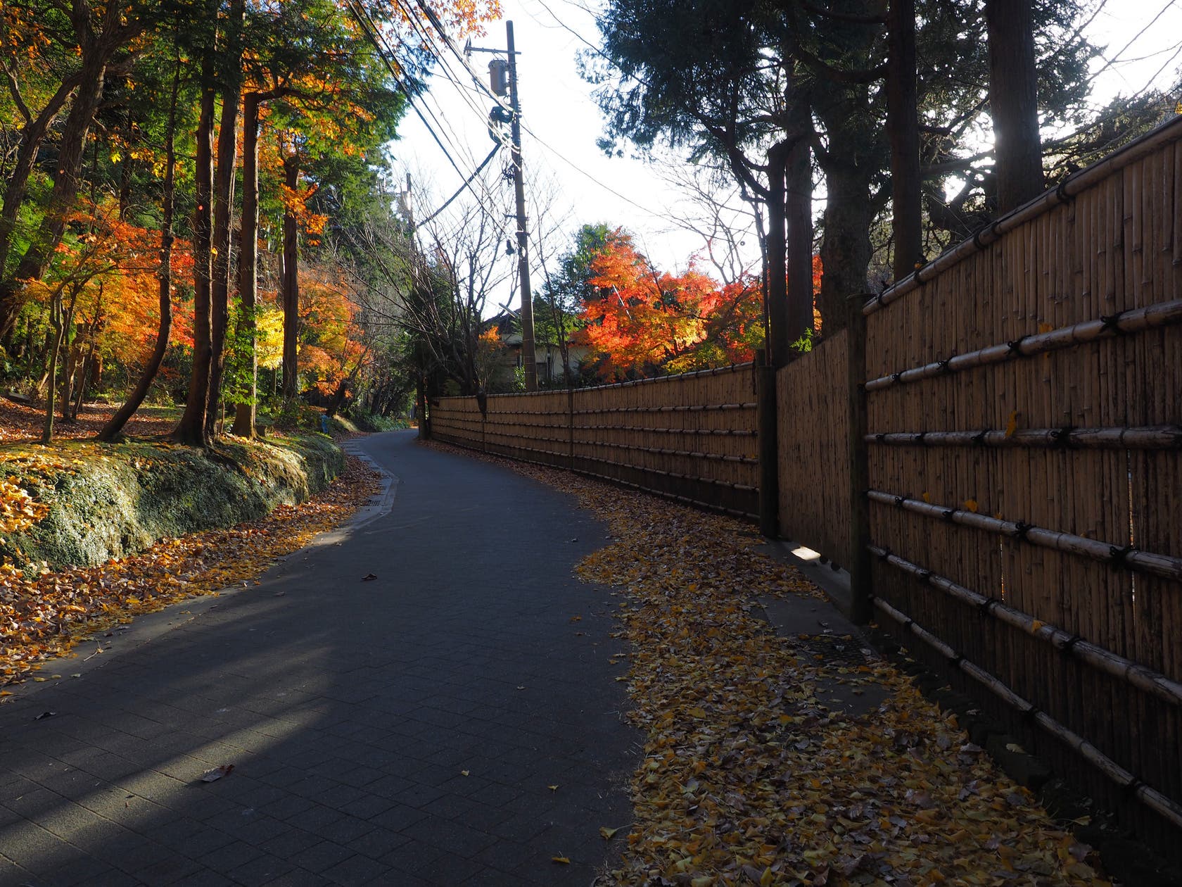 【鎌倉】本格茶室スペース//各種撮影・インバウンド・和の体験会・各種展示会にも。の写真11