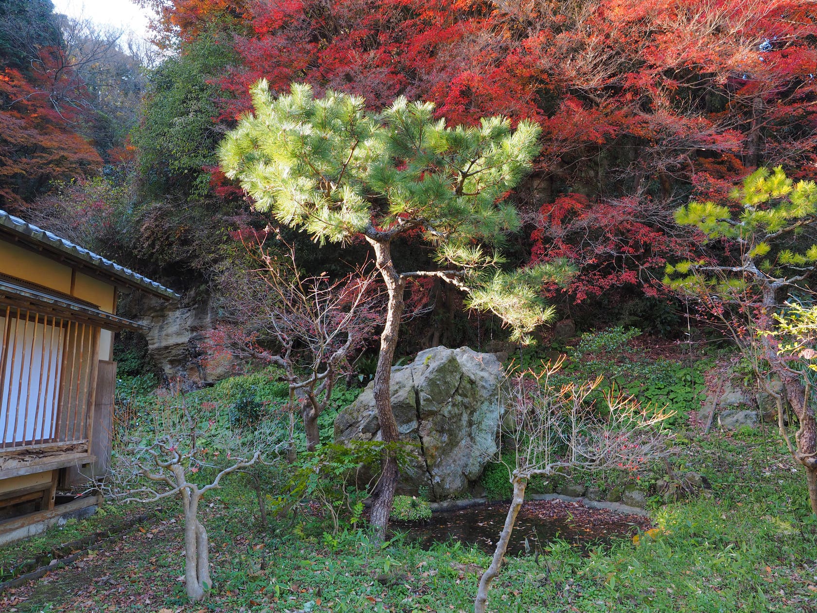 【鎌倉】本格茶室スペース//各種撮影・インバウンド・和の体験会・各種展示会にも。の写真12