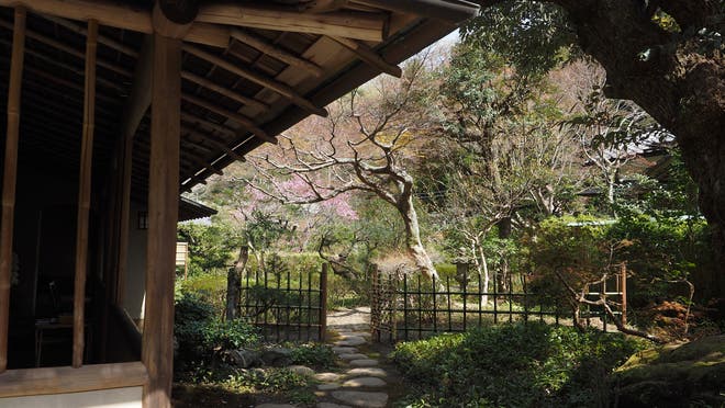 【鎌倉】本格茶室スペース//各種撮影・インバウンド・和の体験会・各種展示会にも。の写真22