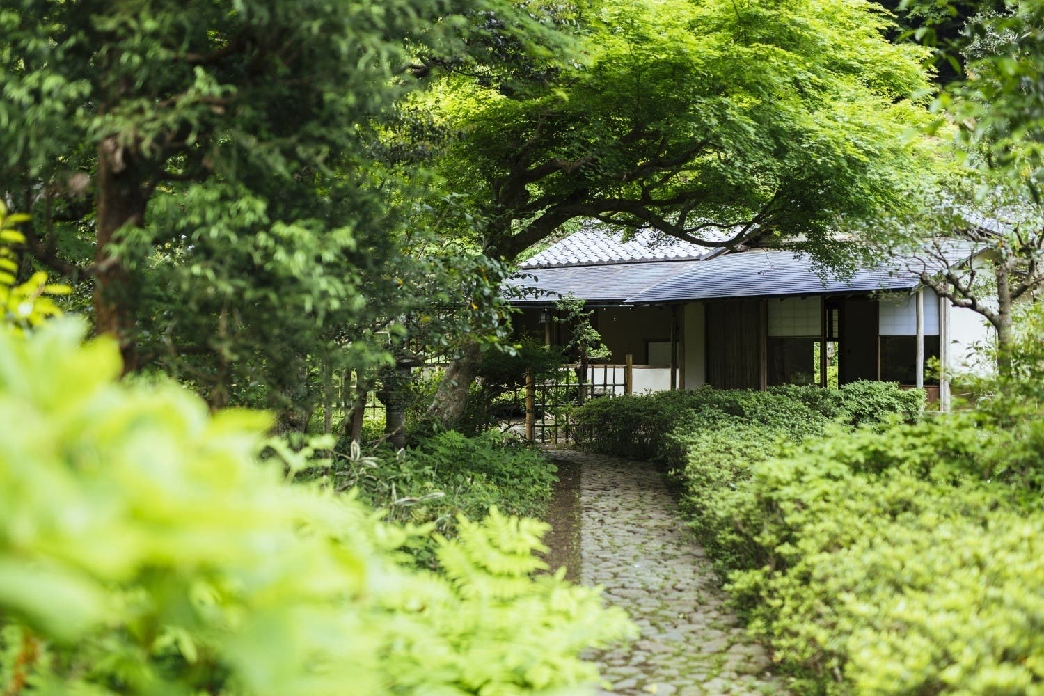 【鎌倉】本格茶室スペース//各種撮影・インバウンド・和の体験会・各種展示会にも。の写真29