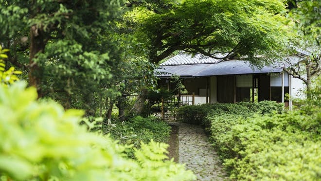 【鎌倉】本格茶室スペース//各種撮影・インバウンド・和の体験会・各種展示会にも。の写真29