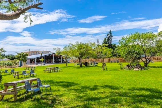 森の沖縄の隠れ家スポット。オフサイト研修、各種イベント、リトリート、チームビルディング、セミナーなどに！の写真5