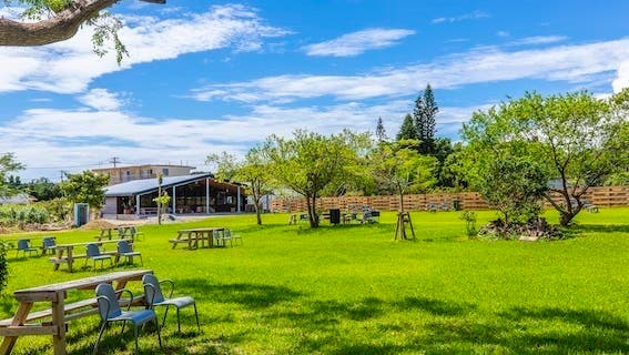 森の沖縄の隠れ家スポット。オフサイト研修、各種イベント、リトリート、チームビルディング、セミナーなどに!の写真5