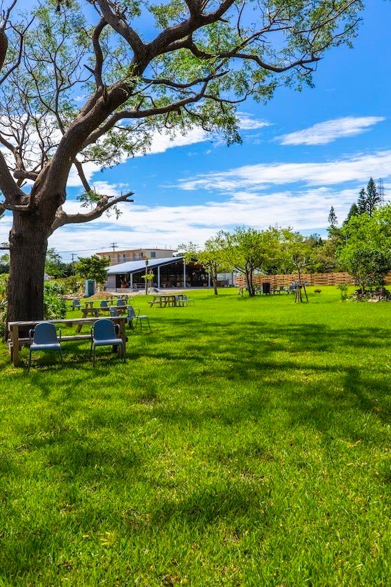 森の沖縄の隠れ家スポット。オフサイト研修、各種イベント、リトリート、チームビルディング、セミナーなどに！の写真6