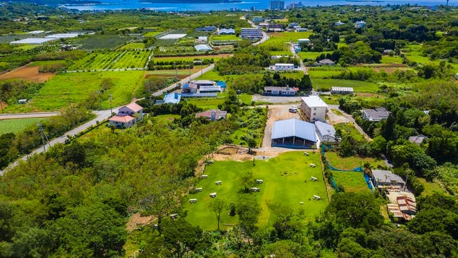 森の沖縄の隠れ家スポット。オフサイト研修、各種イベント、リトリート、チームビルディング、セミナーなどに!の写真10