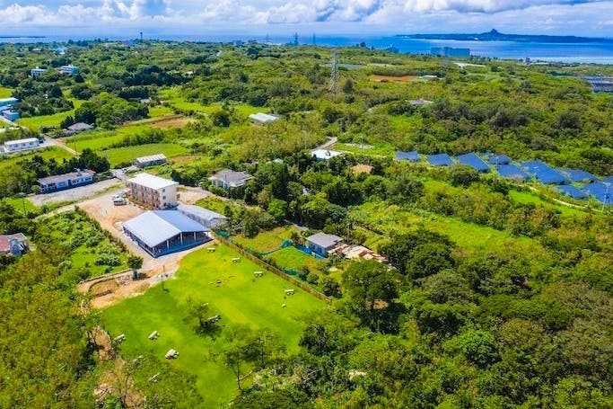 森の沖縄の隠れ家スポット。オフサイト研修、各種イベント、リトリート、チームビルディング、セミナーなどに！の写真11