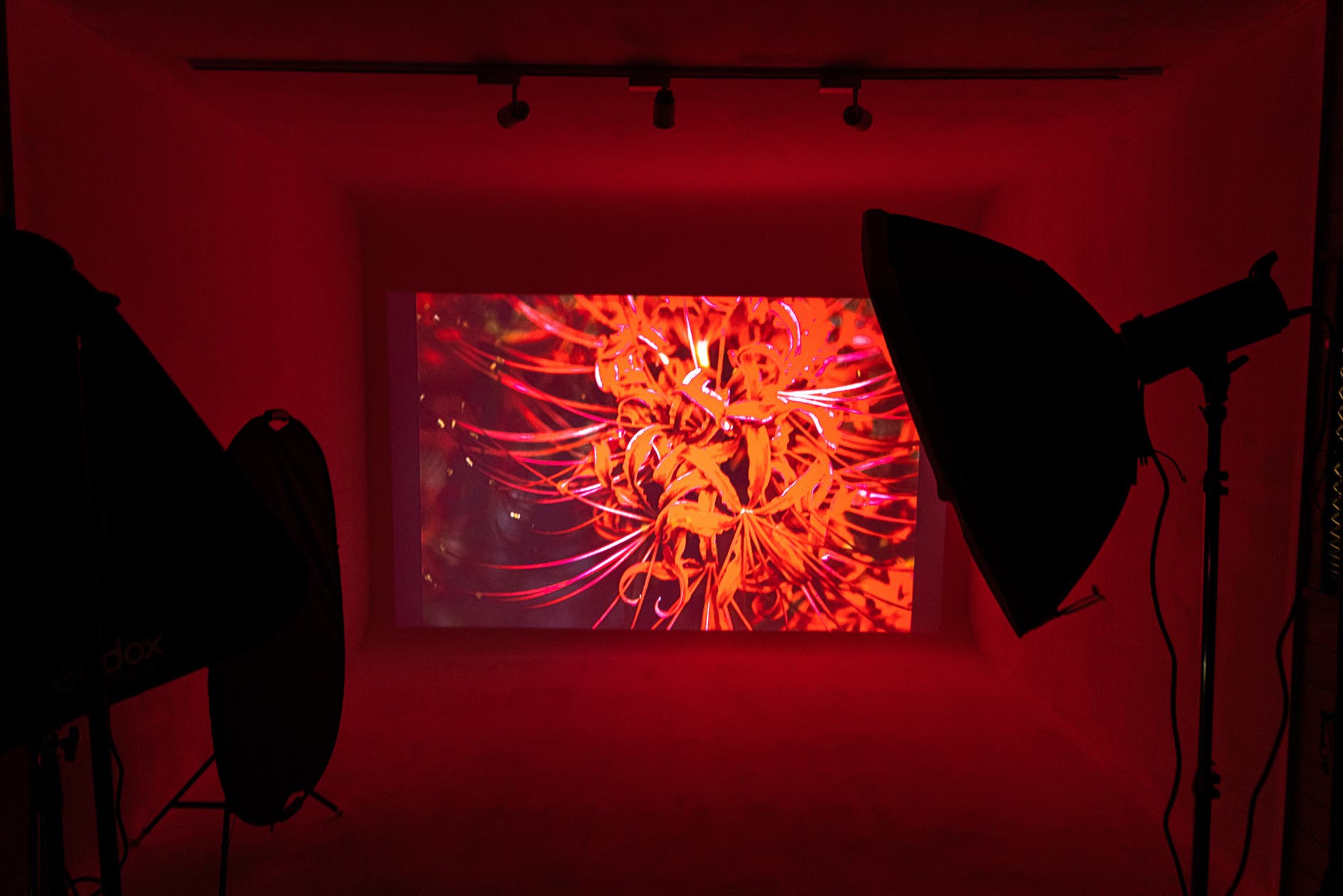 八王子駅8分の駅チカ！撮影機材無料！安心のスタッフ常駐。白ホリのフォトスタジオ！の写真12