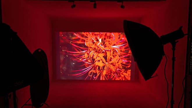 八王子駅8分の駅チカ!撮影機材無料!安心のスタッフ常駐。白ホリのフォトスタジオ!の写真12