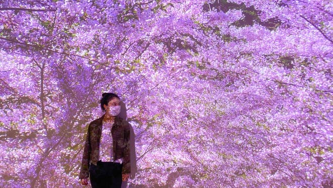 ★縦4m×横9mの巨大スクリーン完備150㎡のラウンジスペース★クリスマスイベント・忘年会・送別会・スポーツ観戦の写真13