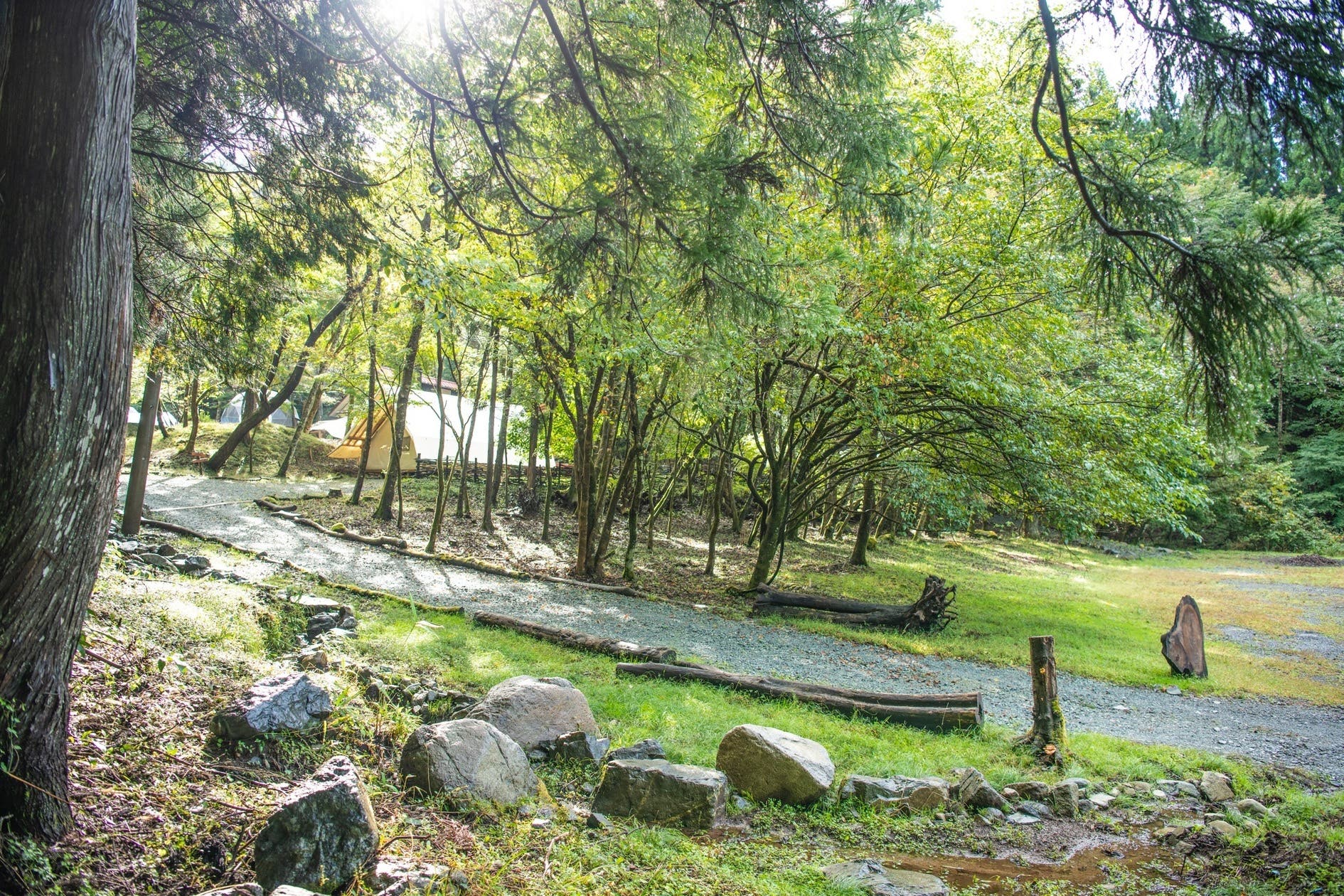 450坪の敷地全て貸切　都内から車で９０分と好アクセス！　川も森も　撮影利用などに！の写真17