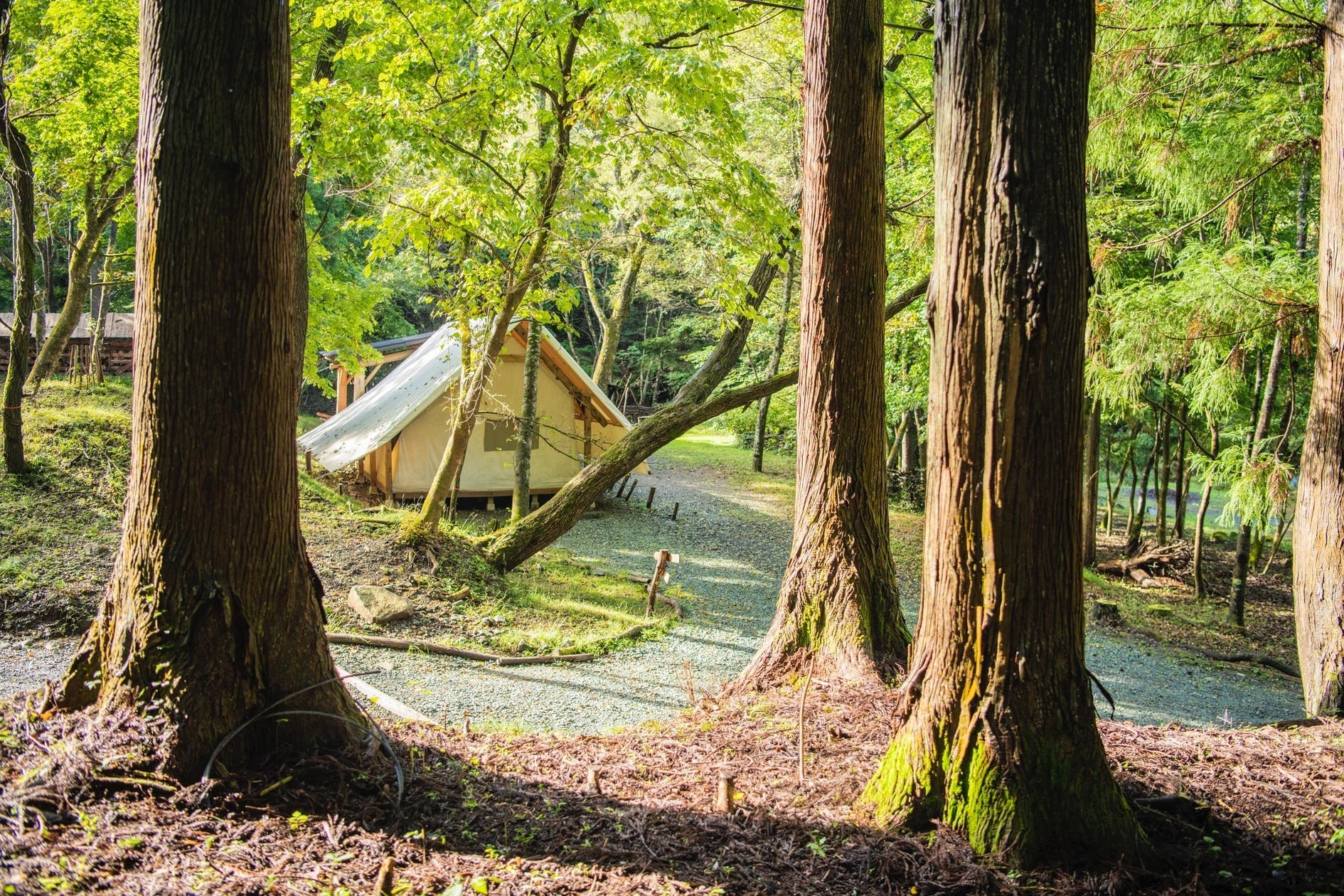450坪の敷地全て貸切　都内から車で９０分と好アクセス！　川も森も　撮影利用などに！の写真19