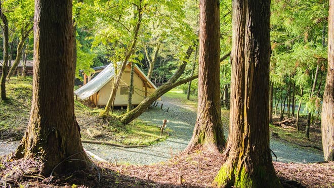 450坪の敷地全て貸切 都内から車で90分と好アクセス! 川も森も 撮影利用などに!の写真19