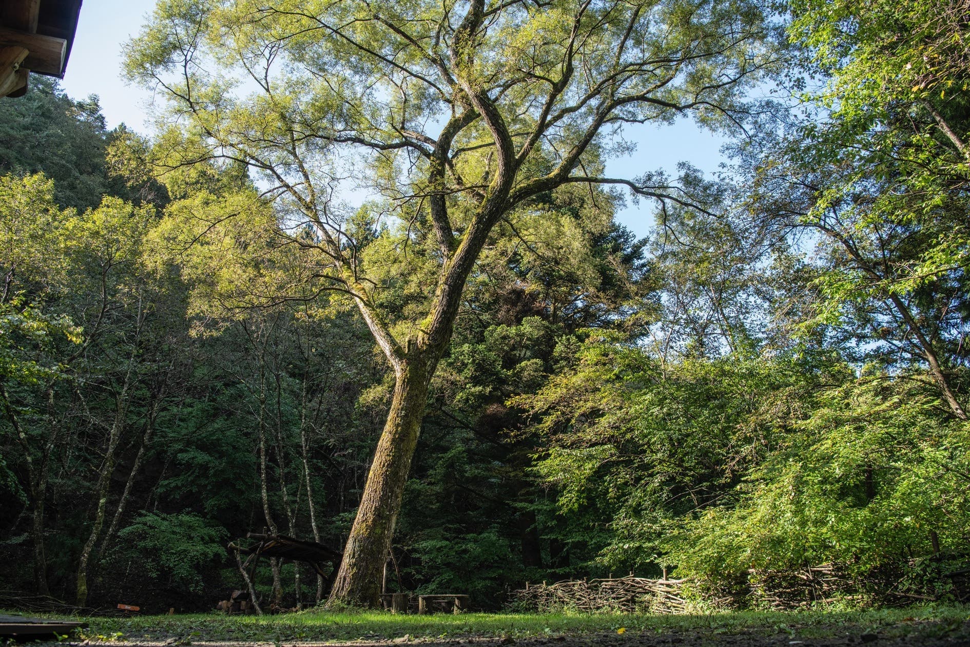 450坪の敷地全て貸切　都内から車で９０分と好アクセス！　川も森も　撮影利用などに！の写真21