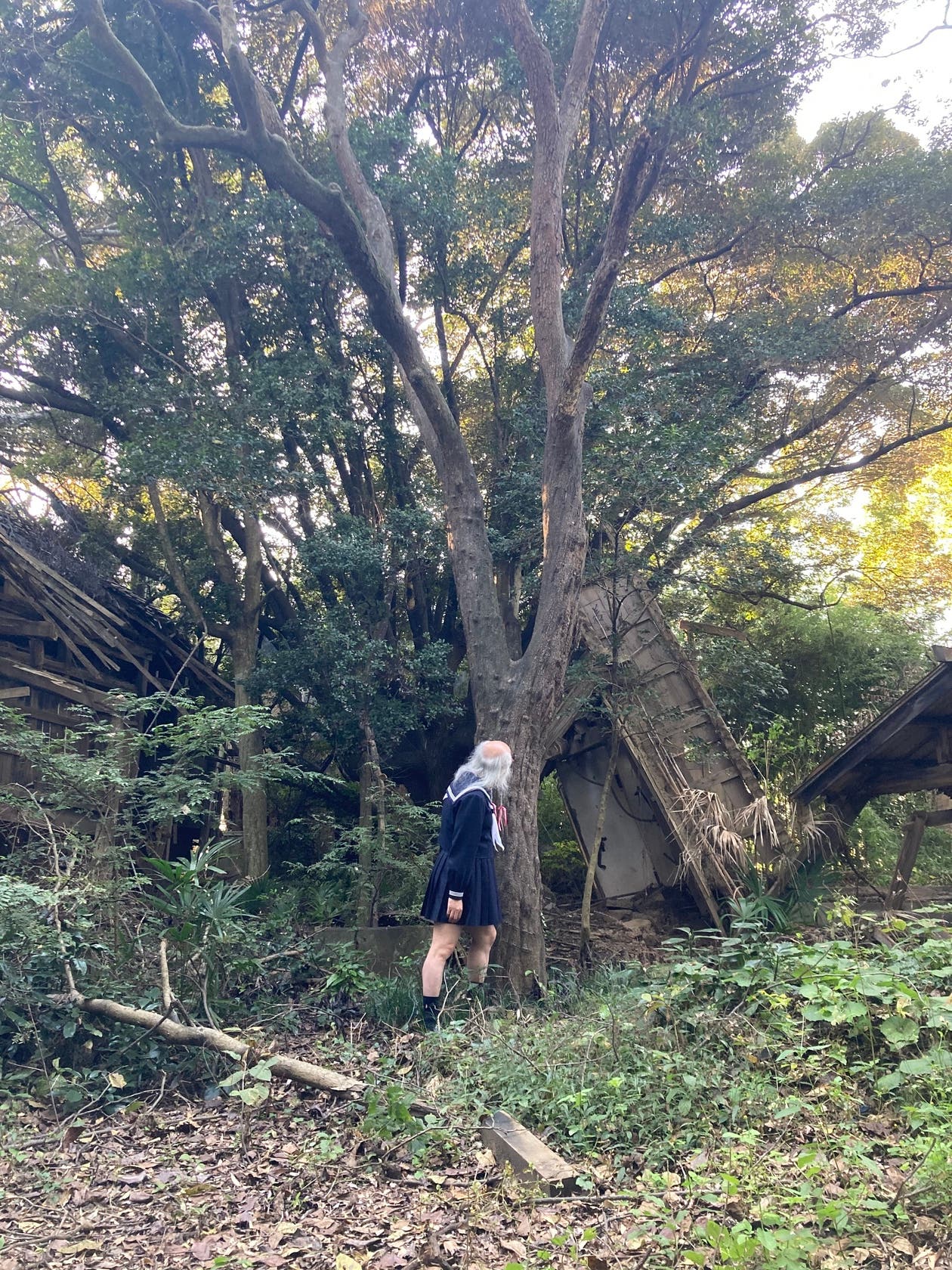  Art Village SATTE の写真24