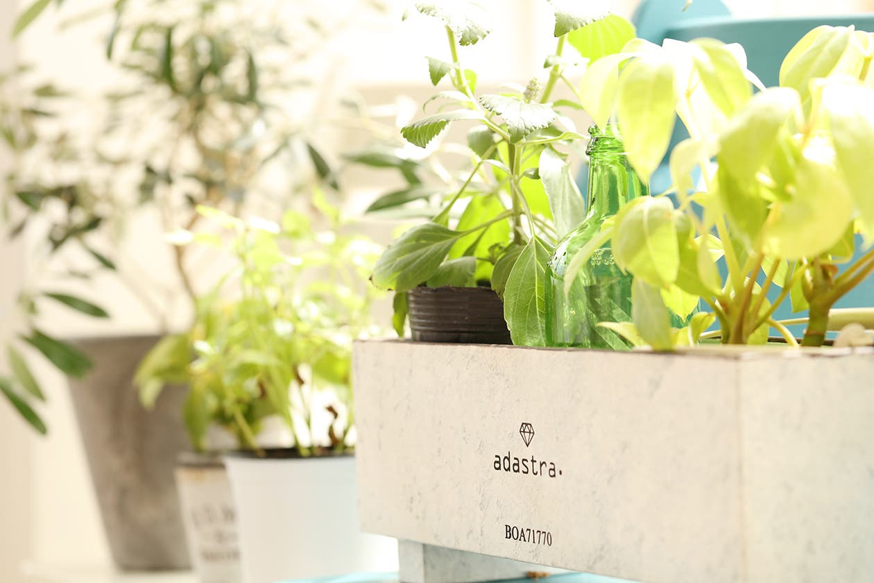 テラス付き自然光ハウススタジオ【魚崎駅徒歩6分】の写真12