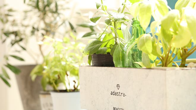 テラス付き自然光ハウススタジオ【魚崎駅徒歩6分】の写真12