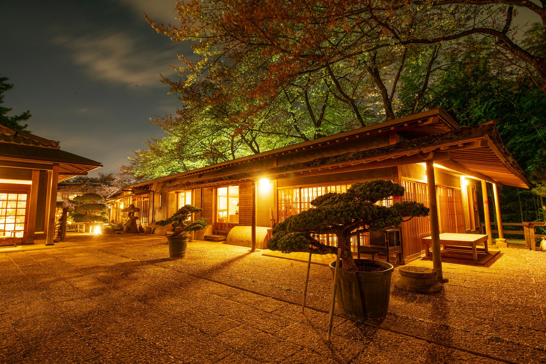 桜の絶景を独り占めしてみませんか？インドア花見眺望スペースの写真8