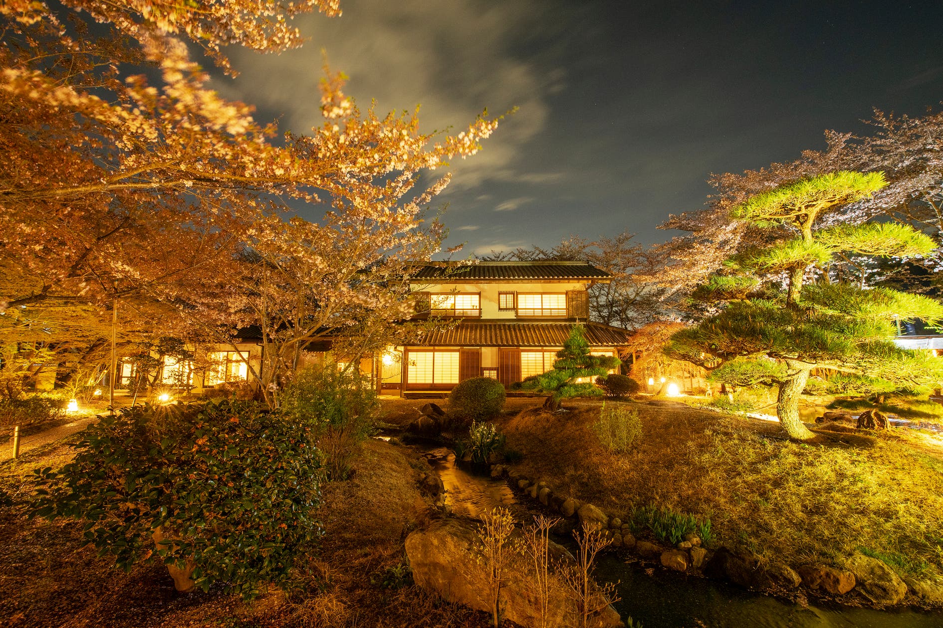 桜の絶景を独り占めしてみませんか？インドア花見眺望スペースの写真9