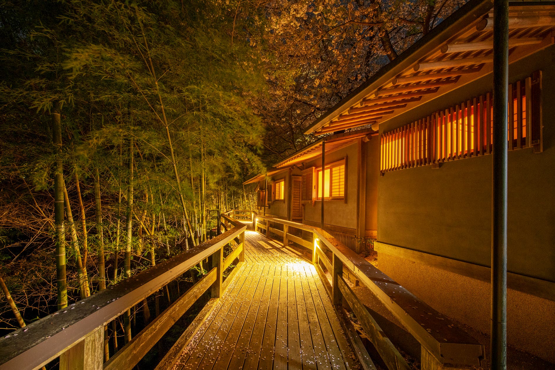 桜の絶景を独り占めしてみませんか？インドア花見眺望スペースの写真10