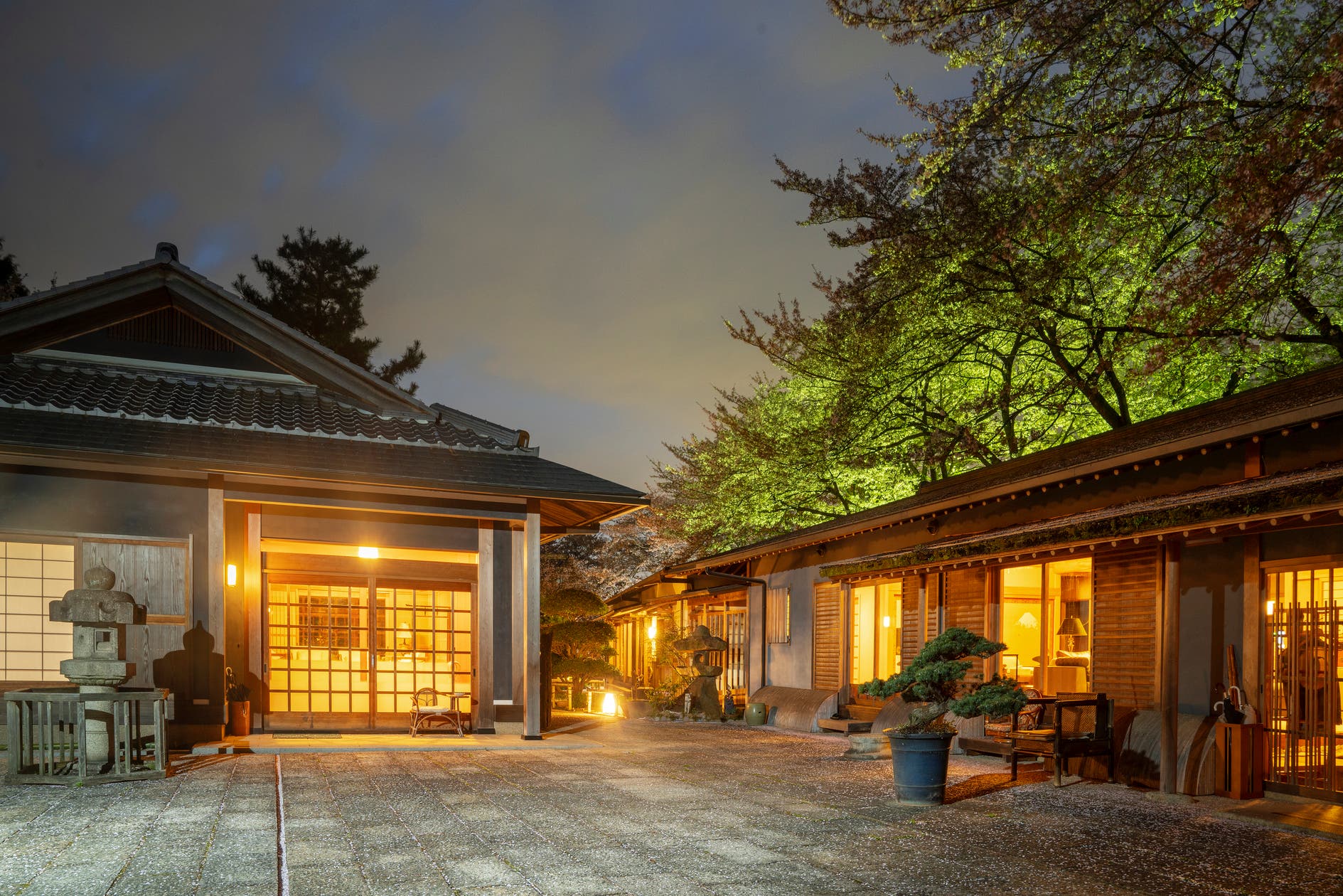 桜の絶景を独り占めしてみませんか？インドア花見眺望スペースの写真6