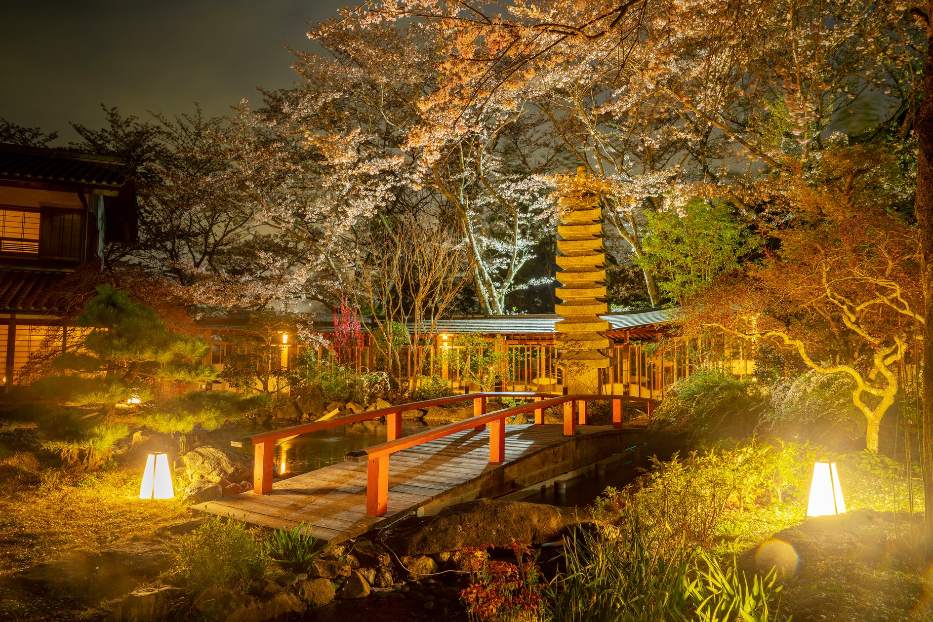 桜の絶景を独り占めしてみませんか？インドア花見眺望スペースの写真11