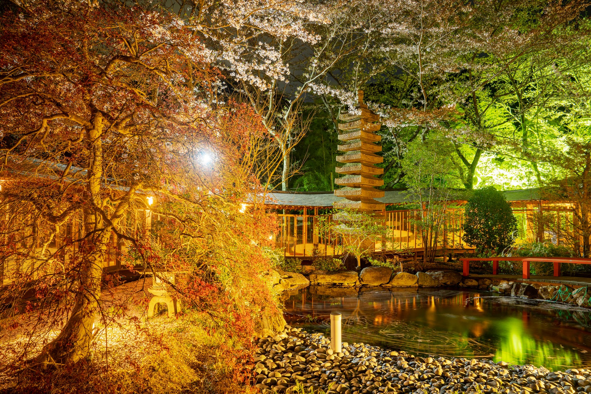 桜の絶景を独り占めしてみませんか？インドア花見眺望スペースの写真12