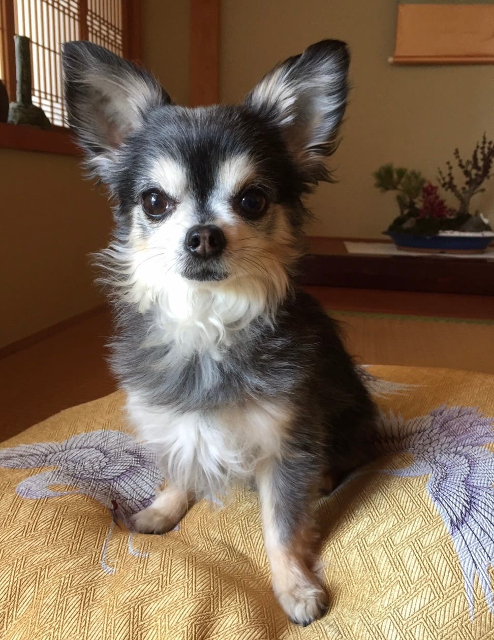 #12...日本和室のイベントスペース！の写真16