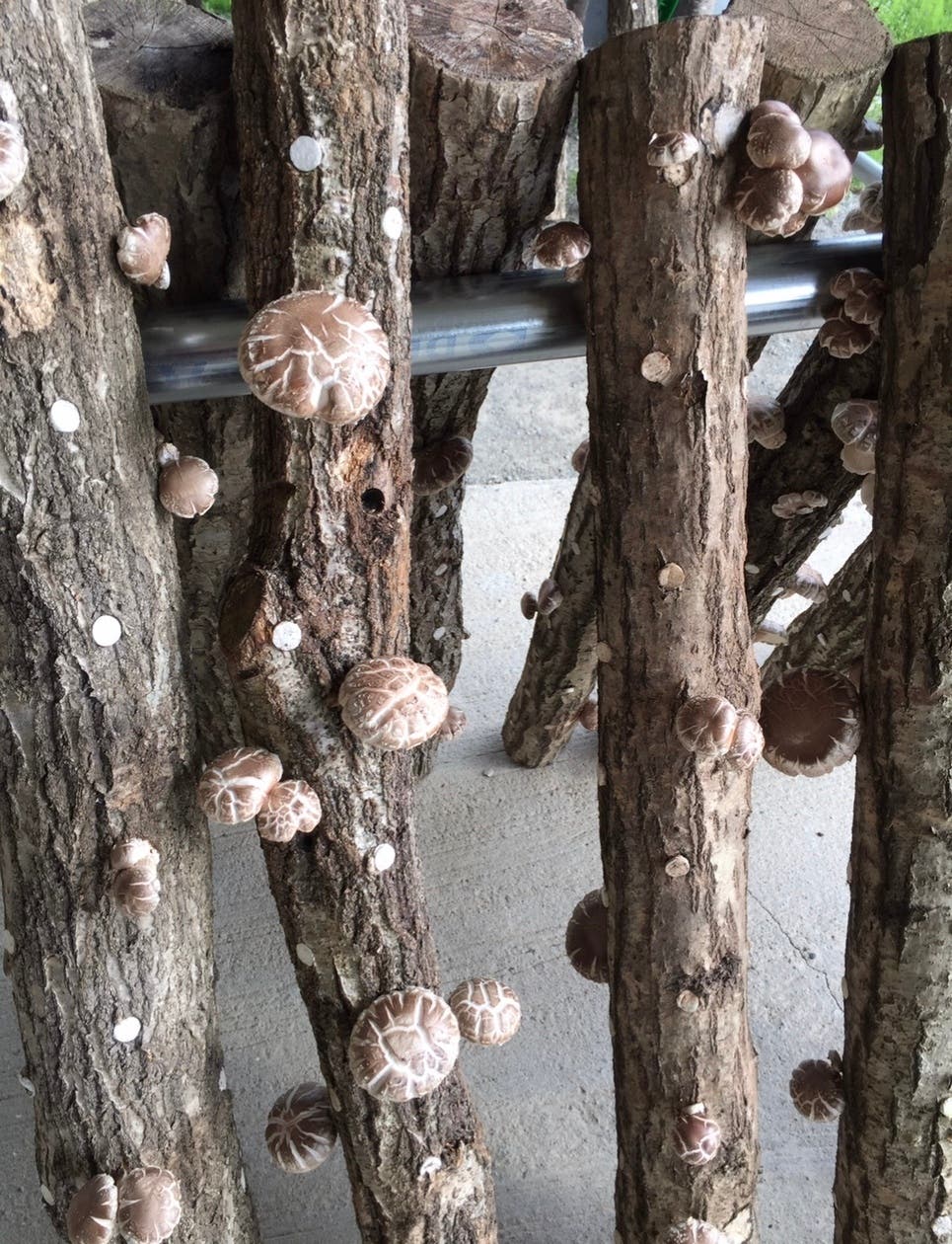 #12...日本和室のイベントスペース！の写真17