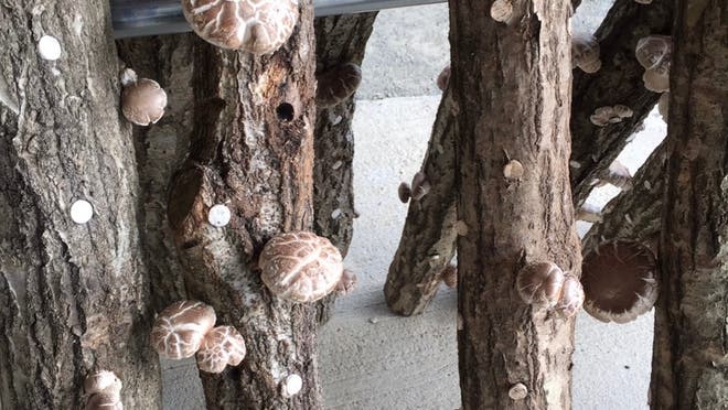 #12...日本和室のイベントスペース!の写真17