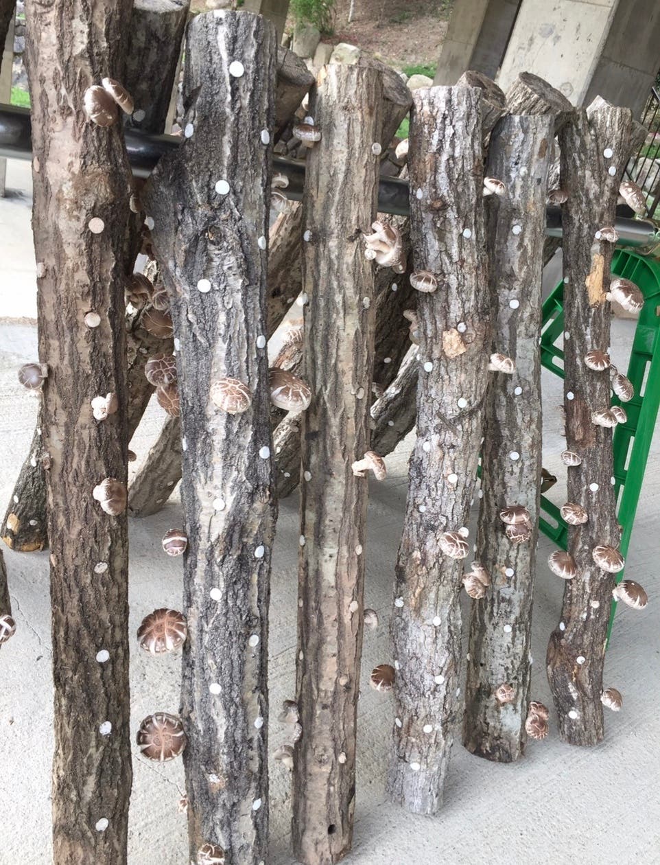 #12...日本和室のイベントスペース！の写真18