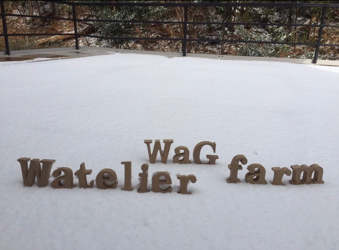 #23有馬温泉で個室で三密対策！1グループ、ファミリーで寛げる静かな和空間(8畳間)、24時間テレワークスペースとしても！の写真5