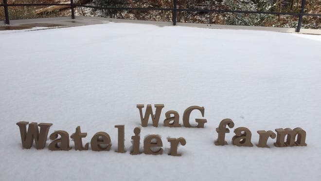 #23有馬温泉で個室で三密対策!1グループ、ファミリーで寛げる静かな和空間(8畳間)、24時間テレワークスペースとしても!の写真5