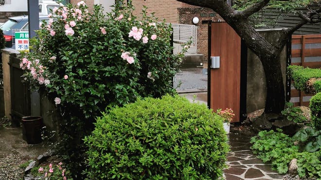 和室の静かな空間です。女子会、家族の誕生日会、お茶会や、勉強会、研修会等にご利用下さい!の写真1