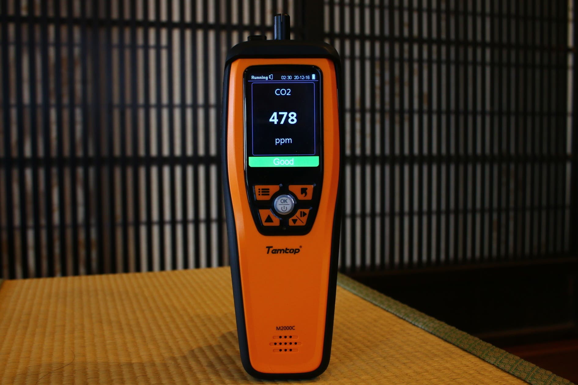 【感染対策に一棟貸し】築120年古民家開放的プライベート庭園も自由に使えますの写真13