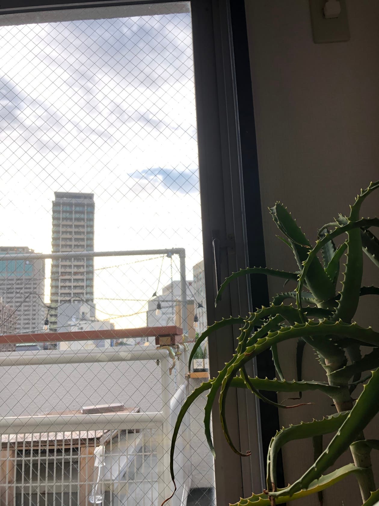 神戸三宮元町◆音楽・アートギャラリー【ギャラリロ　デア　キテン】キテン北野・カユミセ・オトハトバ・Sねこしゃんに次ぐ新規スペースの写真3