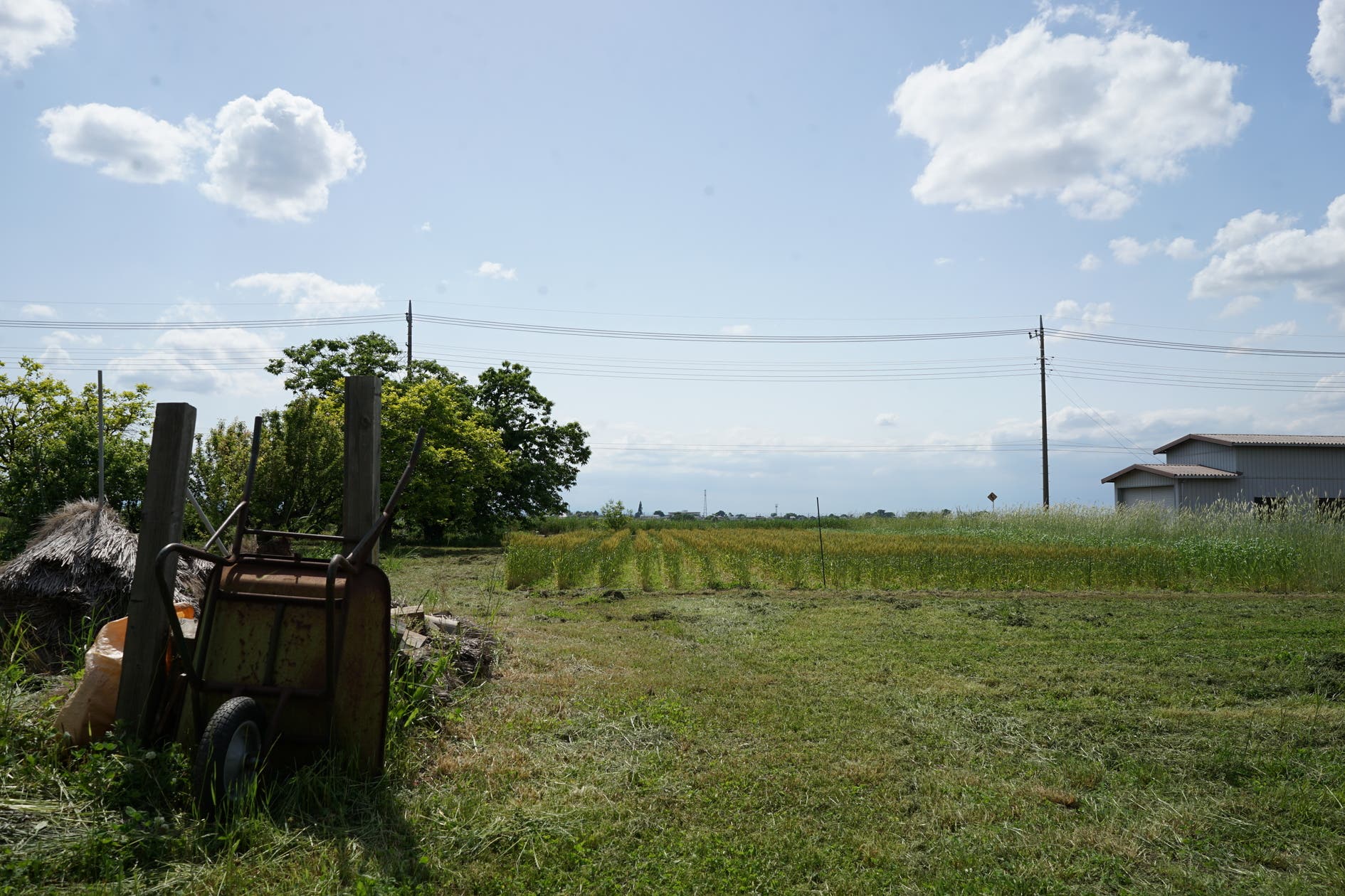 【イベントスペース】都心から車で１時間 最大15名/ヤギのいる古民家/広がる田園/撮影/食事会/セミナーなどに！の写真8