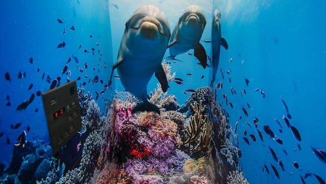 京都駅チカで女子会、ファミリーに最適!の写真4