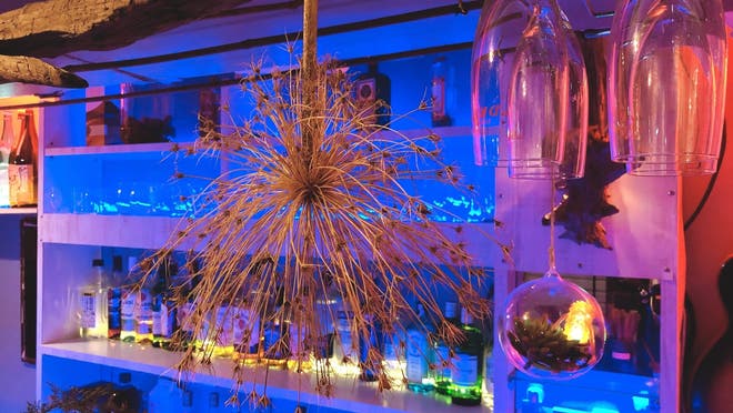 ホステル1階BARスペースの写真2