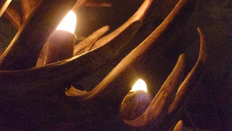 【東京・代官山】全天候型インドアキャンプ in 代官山の写真5