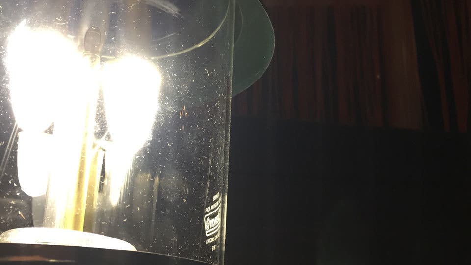 【東京・代官山】全天候型インドアキャンプ in 代官山の写真6