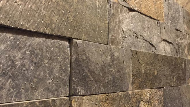 【東京・代官山】全天候型インドアキャンプ in 代官山の写真8