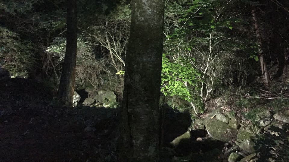 【箱根】24時間天然温泉と茶室のある純和風の一軒家。小川のせせらぎを聴きながら過ごす贅沢な時間。お茶会・各種撮影に。の写真11