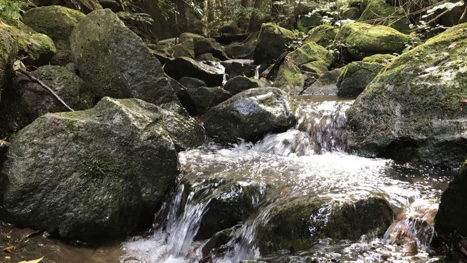 【箱根】24時間天然温泉と茶室のある純和風の一軒家。小川のせせらぎを聴きながら過ごす贅沢な時間。お茶会・各種撮影に。の写真12
