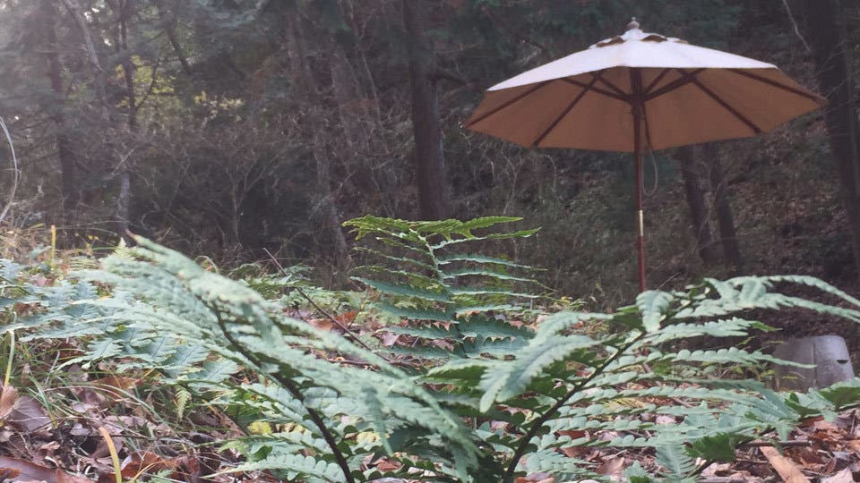 【箱根】24時間天然温泉と茶室のある純和風の一軒家。小川のせせらぎを聴きながら過ごす贅沢な時間。お茶会・各種撮影に。の写真14