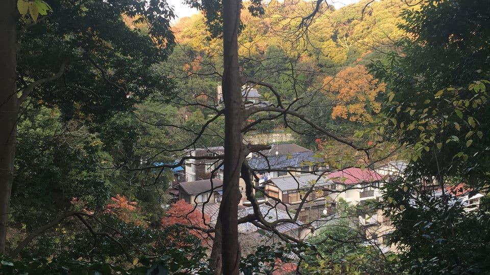 【鎌倉・極楽寺】ワークショップなどに最適なTTMAフォレスト鎌倉道場の写真7