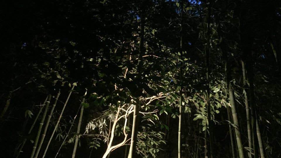 【鎌倉・極楽寺】ワークショップなどに最適なTTMAフォレスト鎌倉道場の写真11