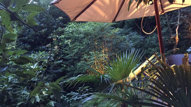 【鎌倉・極楽寺】天空の森・フォレストガーデンでグランピング&パーティの写真11