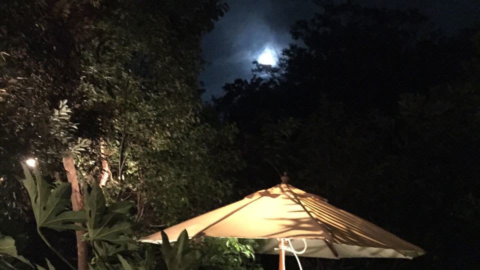 【鎌倉・極楽寺】天空の森・フォレストガーデンでグランピング＆パーティの写真13